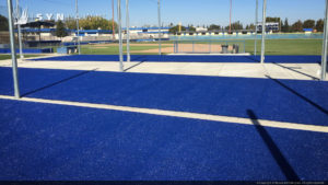 Photos of Agility & Track Turf in North Carolina | Southeast Turf ...