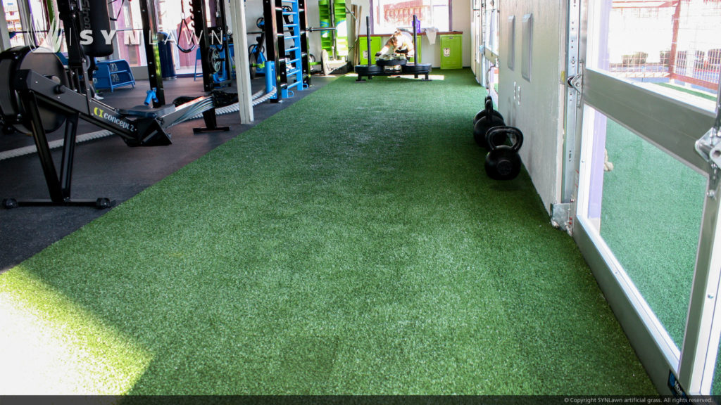Photos of Agility & Track Turf in North Carolina | Southeast Turf ...